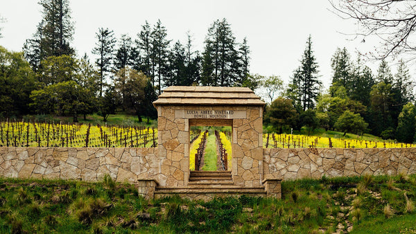 David Abreu: Unparalleled Influence on Napa's Vineyards – Grand Cru ...